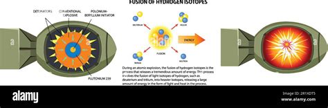 Fusion Of Hydrogen Isotopes Illustration Stock Vector Image And Art Alamy