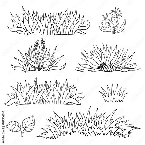 Hand Drawn Grass Vector Illustration Stock Vector Adobe Stock