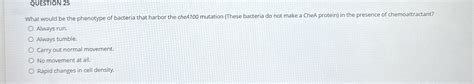 Solved Question 25what Would Be The Phenotype Of Bacteria