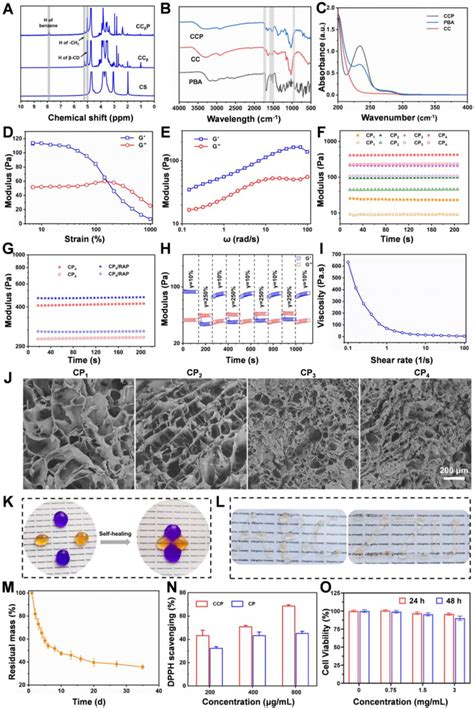 An Injectable Shape Adaptive Hydrogel System For Subconjunctival