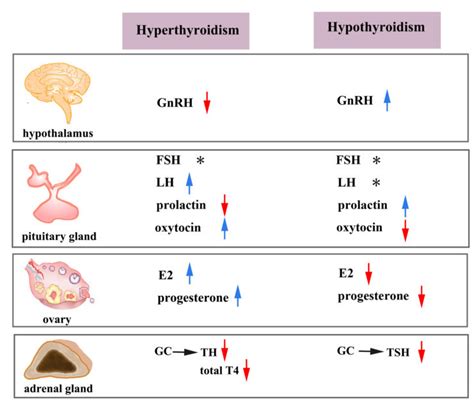 Hyperthyroidism Vs Hypothyroidism