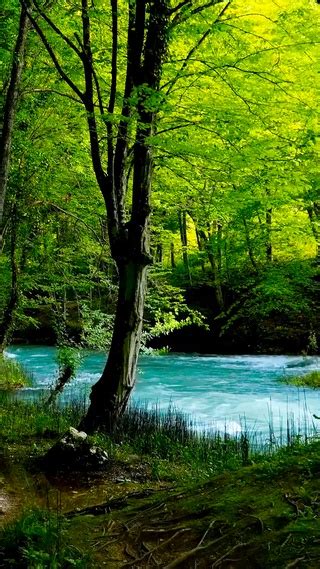 山涧流水壁纸 山涧流水手机壁纸 山涧流水手机动态壁纸 元气壁纸