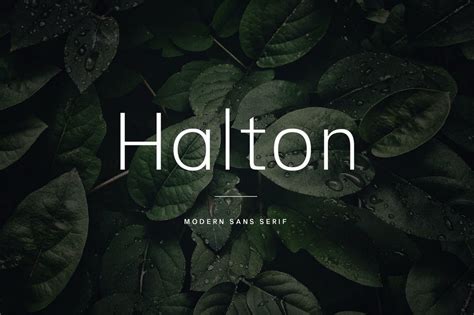 45 Best Simple Minimalist Fonts In 2023 Free Premium Gold