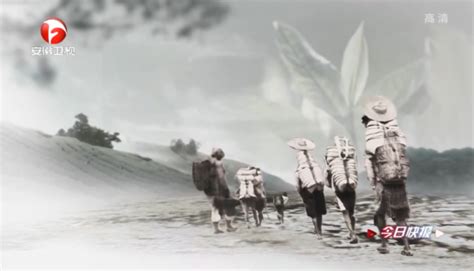 反响热烈！文献纪录片《祁红•中国香》开播腾讯新闻