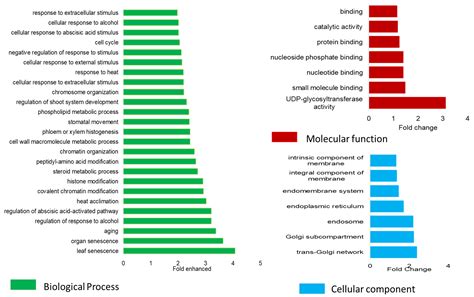 Plants Free Full Text Haplotype Based Genome Wide Association