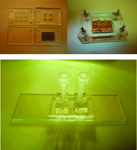 A Master Mold And Assembled Setup For Pdms Molding B Fabricated
