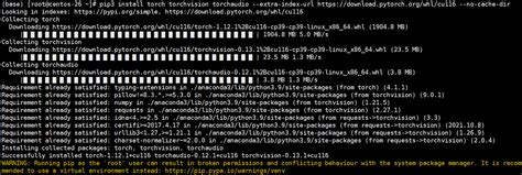 Centos Anaconda Pytorch