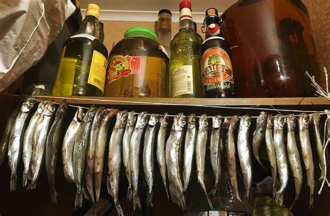 Сушеная мойва - Вкуснтина Ммм..... - Лучший сайт кулинарии