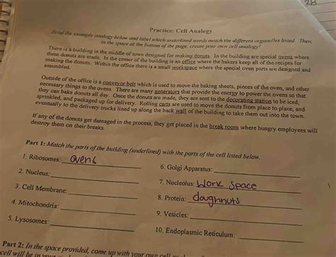 Solved Practice Cell Analogy Read The Example Analogy Below And Label