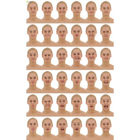 Female 01 38 X Expression Scan Bundle