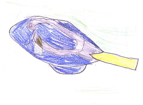 Ce2 Cm1 Cm2 De LÉcole Payen Bacquet Pelves Petits Poissons