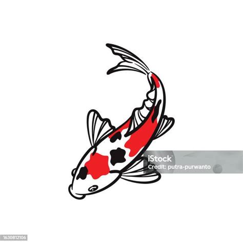 손으로 그린 잉어 물고기 벡터입니다 잉어 잉어 라인 아트 일러스트 비단잉어에 대한 스톡 벡터 아트 및 기타 이미지 비단잉어