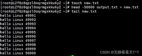 linux的基本指令（三） csdn博客