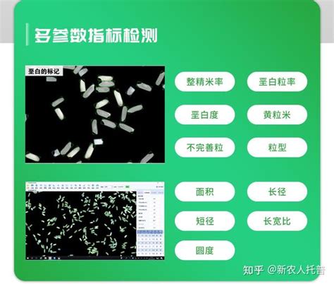 大米外观品质分析仪详解 知乎