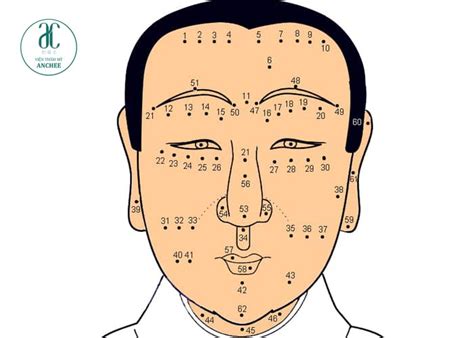 Ý Nghĩa 235 Vị Trí Nốt Ruồi Trên Mặt Nam And Nữ Chuẩn 100
