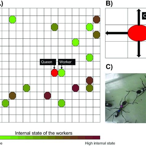 Schematic Picture Of The Simulation Environment A Grid Structure With Download Scientific