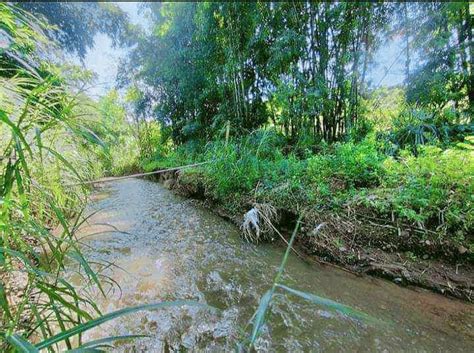 ขายที่ดินวิวดอยหลวงเชียงดาวติดลำน้ำติดถนนพร้อมโอน ที่ดินร้อยแปด คอม