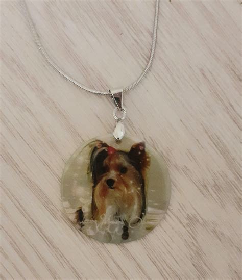 Jewellery Shell Necklace