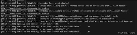 解决 Failed To Parse Remote Port From Server Output【remote Ssh】【vscode