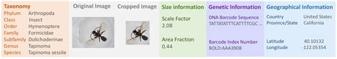 Insect Identification In The Wild The Ami Dataset Ai Research Paper Details