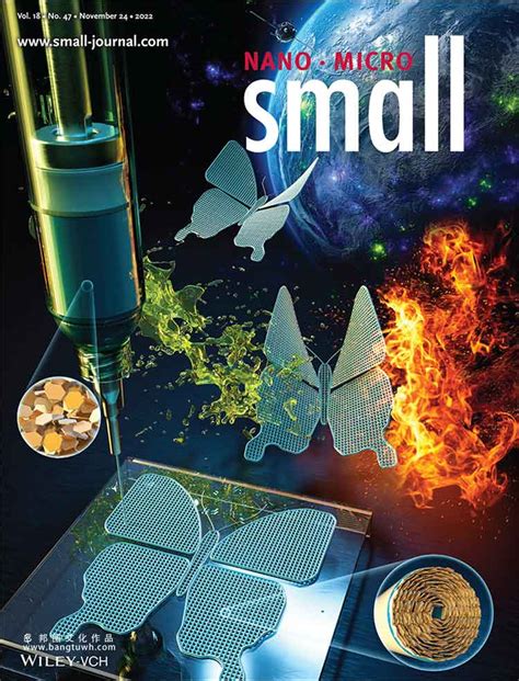 科研绘图sci画图作图学术杂志封面设计toc示意图文章配图医学动画