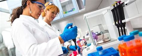 New Research Clarifying How Stem Cells Help Rheumatoid Arthritis