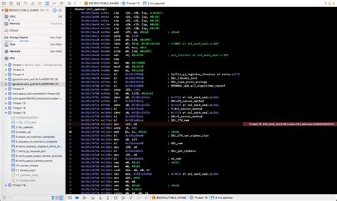 Ios Twilio Tcdevice Initialization Crash Stack Overflow