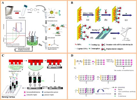 Examples Of Immunosensors Schematic Diagram Of A The Immunosensor Download Scientific Diagram