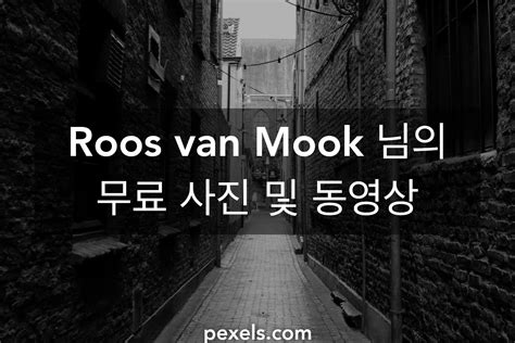 Roos Van Mook 사진