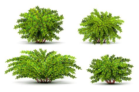 Semaksemak Semak Semak 3d Terisolasi Pada Set Vektor Putih Ilustrasi