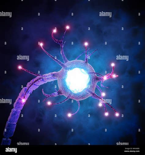 Synapse Is A Structure That Permits A Neuron Or Nerve Cell To Pass An