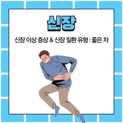 신장 이상 증상 And 신장 질환 유형 신장에 좋은 차 네이버 포스트