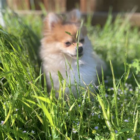 Emma Andersson Youtube