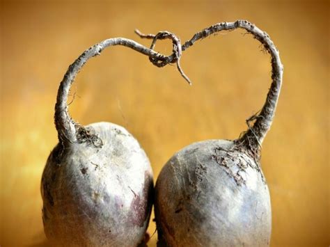 20 Different Types Of Turnip With Images Asian Recipe