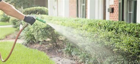 24 Hour Emergency Pest Control Services Near Cedartown Ga Home Safe