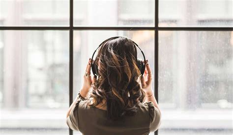 Why Cant The Windows That Cost More Than 10000 Still Stop The Damn Road Noise Utench