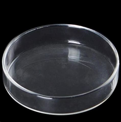 고품질 투명 유리 페트리 접시 60mm 의 고품질 고품질 투명 유리 페트리 접시 60mm