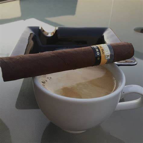 Nicotine Nicotine Has Been A Demonized Compound By The Media Due To Its