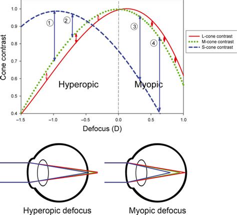 The Role Of Luminance And Chromatic Cues In Emmetropisation Rucker 2013 Ophthalmic And