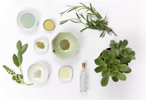 Cosméticos Naturais Saiba Tudo Sobre Essa Tendência