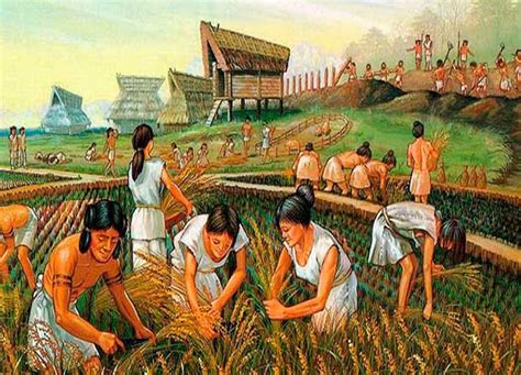 Characteristics Of The Mayan Economy History Type And More ️ Postposmo Postposmo