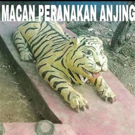 Macan Cisewu Meme 51 Koleksi Gambar