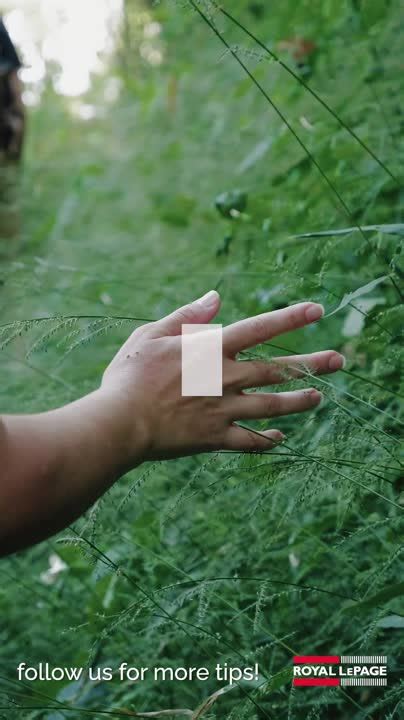 Mark Biehler On Linkedin Friendly Advice About Maintaining Your Property Important To Stay On Top…