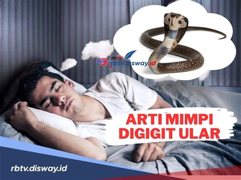 10 Arti Mimpi Digigit Ular Pertanda Baik Atau Buruk Langsung Saja Cek