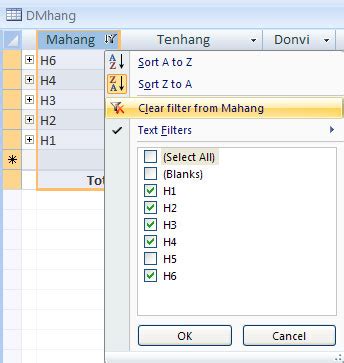 Ms Access Lesson Data Management