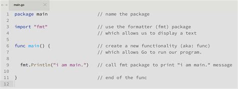 Understanding Go Packages Codementor
