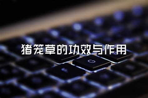 猪笼草的功效与作用 功效与作用 中药健康网