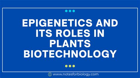 Epigenetics And Its Roles In Plants Biotechnology