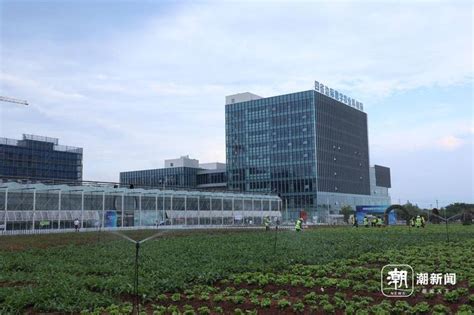 浙江农业农村领域两重两新建设暨设施蔬菜高质量发展现场推进会召开 农机新闻网