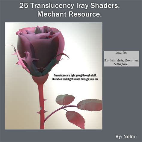 Translucency Iray Shaders Mr 3d Figure Assets Nelmi